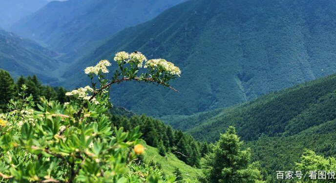 户外活动 | 龙门涧，黄花梁 年卡，避暑游 |户外运动|两步路户外旅游约伴网